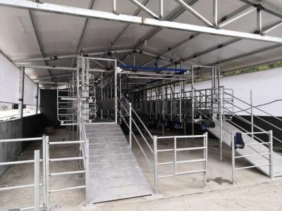 China Customizable SUS304 Goat Herringbone Milking Parlor for sale