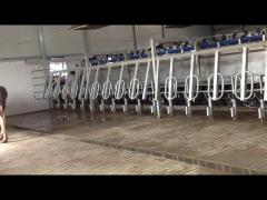 automatic milking parlor