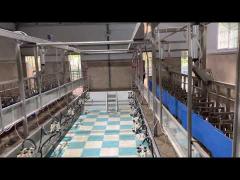 Sheep Parallel fast mode milking parlor equipment Easy to operate