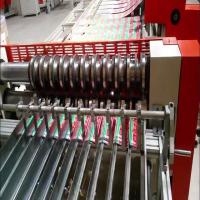 China Efficiency And High Quality Tinplate Sheet Duplex Slitter Cutting Machine for sale