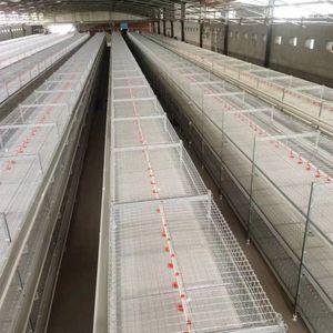 China Broiler Chicken Farm Shed Automatic H Type 3 Tiers 4 Tiers Chicken Cage Feeder for Broiler for sale