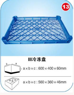 China 2021 Hot sale Hdpe PLASTIC FREEZING TRAY  with best quality and best price for sale