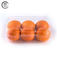 China Disposable Clear PET Clamshell Fruit Container 275x180x95mm for Orange Packaging for sale