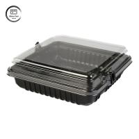 China Square PET Disposable Food Containers 500ml Stackable Takeaway Plastic Box with Clear Lid for sale