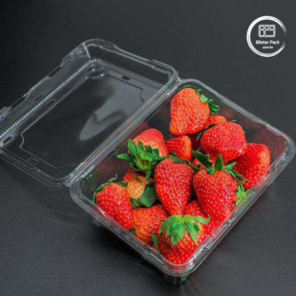 Quality Clear Plastic Clamshell Food Containers for Fruit Vegetable and Meat Packaging for sale