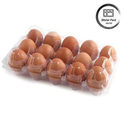 China 15 Cellenhangende Clamshell Duidelijke Plastic Eierenbakken Beveiligde Thermovormige Plastic Verzendbakken Te koop