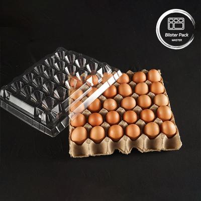 China PET Plastic Egg Tray Packaging 30 Hole Cartons In S/M/L Sizes With Paper Bottom for sale