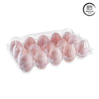 China Disposable PET 30 Egg Storage Tray Transparent Vacuum Formed Plastic Container for sale