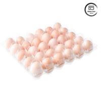 China Disposable PET 30 Egg Storage Tray Transparent Vacuum Formed Plastic Container for sale