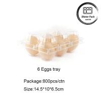 China Transparent PET Plastic Egg Tray 4 to 30 Egg Capacity Blister Box Packaging for sale
