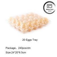 China Transparent PET Plastic Egg Tray 4 to 30 Egg Capacity Blister Box Packaging for sale