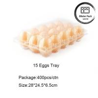 China Transparent PET Plastic Egg Tray 4 to 30 Egg Capacity Blister Box Packaging for sale