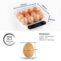China 3x4 Clear Plastic Egg Container Customizable PET Egg Carton for 12 Eggs for sale