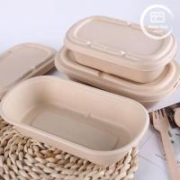 China Square Eco Friendly Biodegradable Sugarcane Pulp Lunch Box 100% Compostable 500ml for sale