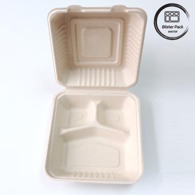 China Blister Eco Compostable Clamshell 3 Compartment Disposable Lunch Box Sugarcane Bagasse for sale