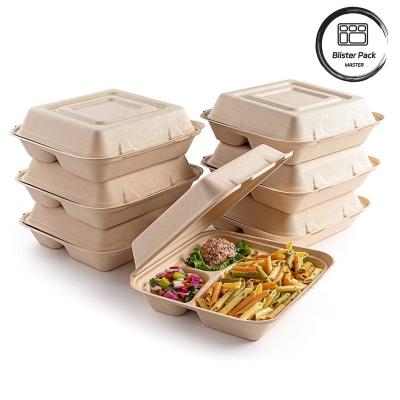 China Blister Eco Compostable Clamshell 3 Compartment Disposable Lunch Box Sugarcane Bagasse for sale