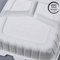 China Disposable Plastic Clamshell Takeout Containers 350-1200ml Leakproof PET Food Boxes for sale