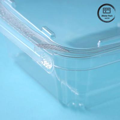 Cina Contenitori per l'insalata in PET riciclato eco-friendly 8-32 oz di plastica trasparente in vendita
