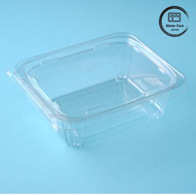 Cina Contenitori per l'insalata in PET riciclato eco-friendly 8-32 oz di plastica trasparente in vendita