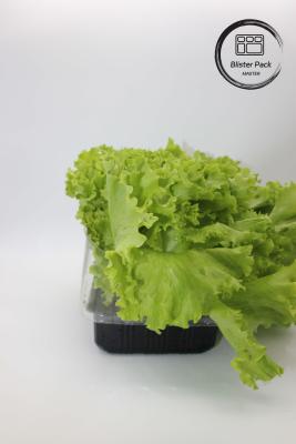 중국 인공 정원 채소 와 과일 장식용 플라스틱 심기 트레이 판매용