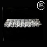 China 18 Hole Disposable PET Blister Clamshell Quail Egg Box Secure Packaging for sale