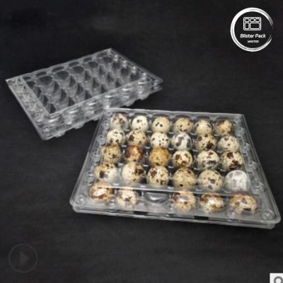 Cina Tavolo di vesciche di uova di quaglia trasparente con 30 fori confezionamento di uova alla rinfusa conveniente in vendita