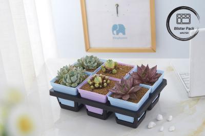 China Caixas de sementeira de plástico de tamanhos múltiplos 6, 12, 20, 24, 40 células Duráveis para jardinagem à venda