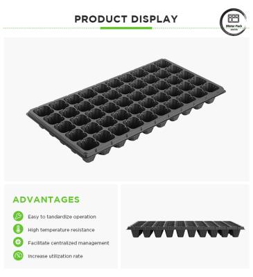 Cina Tavolo di germinazione per sementi di plastica traspirante, da 50 cellule per la germinazione dei semi in vendita