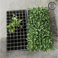 China 50 Cell Seeding Nursery Plug Tray PS Material with Drainage Holes for Efficient Seedling Growth for sale