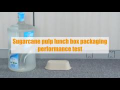 Afhaalmaaltijden Recyclebare voedselcontainers Biologisch afbreekbare suikerriet bagasse