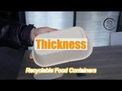Take Away Lunch Recyclable Food Containers Biodegradable Sugarcane Bagasse
