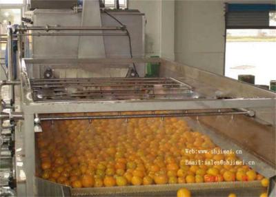 Cina Il pacchetto triangolare per 6000L/H ha concentrato la linea di trasformazione arancio del succo di frutta in vendita