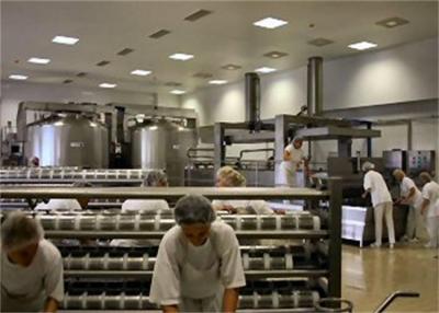 Cina Linea di trasformazione automatizzata macchina del yogurt di plastica di Thermoforming della tazza in vendita