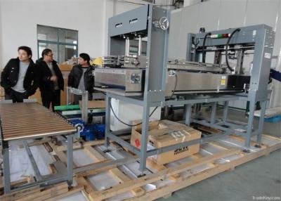 Cina Linea imbottigliatrice di lavorazione della frutta 3 In1 dell'ANIMALE DOMESTICO del succo di mele in vendita