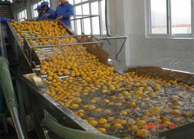 Cina Linea liquida automatica 4000LPH della macchina di rifornimento/di lavorazione frutta dell'attrezzatura in vendita