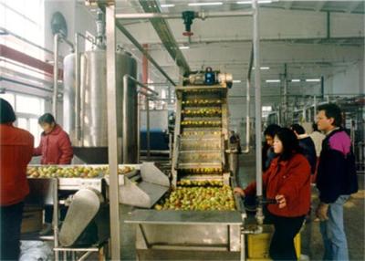 China Automatic Concentrated Pineapple Juice Plant Juice Concentrate Machine for Industrial for sale