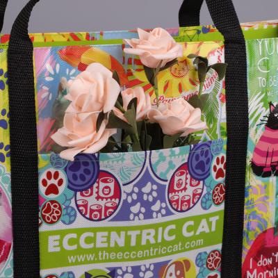 Cina immagini dell'animale di 44*15*24cm tutto il di colori tessuto Carry Bags non in vendita