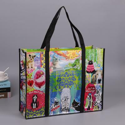 China Gewohnheit lamellierte Breite nicht Plastik-Carry Bag 44cm Länge 15cm zu verkaufen