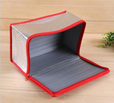 Cina Il poliestere su misura di picnic di colore ha isolato le borse del dispositivo di raffreddamento del pranzo in vendita