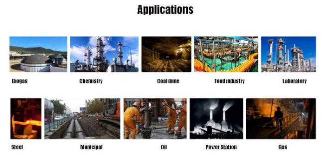 Fixed Explosion Proof Wireless RS485 Output Industry Gas Detector