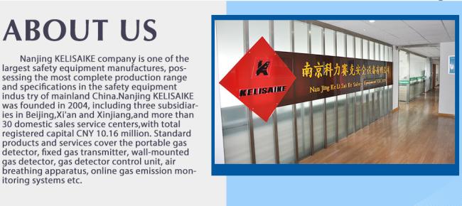 Kl99-Papr Powered Air Purifying Respirator CE Standard
