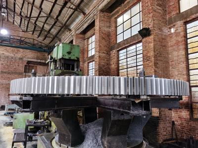 10 - 30 Pinion Module Girth Gear With No Surface Treatment Large Size