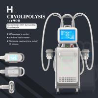 China Function 2 Criolipolisis Machine Cryolipolysis for Safe and Non-Invasive Fat Removal for sale