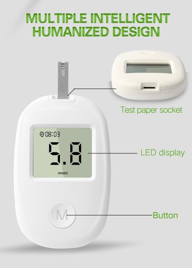 Portable blood glucose testing kit