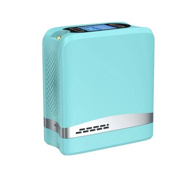 China 220V Portable Home Medical Device Oxygen Concentrator Machine For Car for sale