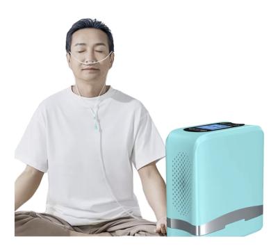 China 220V Portable Home Medical Device Oxygen Concentrator Machine For Car for sale