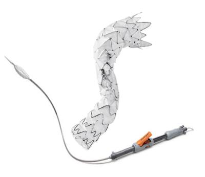China C. R. Bard Fluency Plus Vascular Stent for Dissection Restenosis after PTA in Peripheral Arteries​​ for sale
