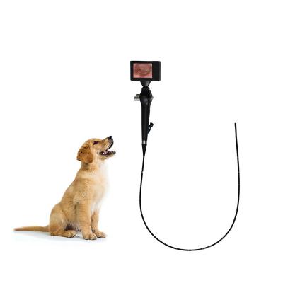 Cina Un'endoscopia veterinaria portatile di 110 di grado rifornimenti medici del video sistema dell'endoscopio in vendita