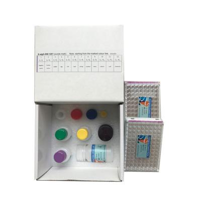 China Food Specific IgG Antibody Test Kit ELISA 12 Tests Rapid IgG IgM for sale