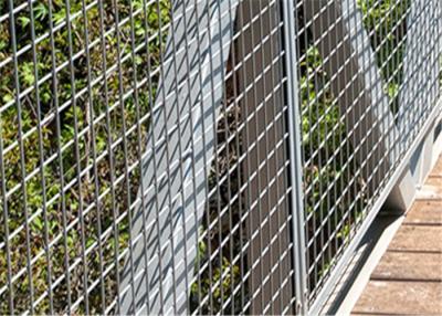 China Galvanized schweißte Maschendraht für Zaunplatte, geschweißte Masche des Kaninchenkäfigs, Vogelkäfig zu verkaufen